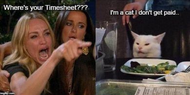 Check Out Our Top Timesheet Memes! - TimeCamp
