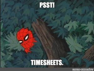 Check Out Our Top Timesheet Memes! - TimeCamp