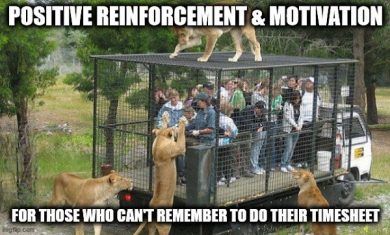 Check Out Our Top Timesheet Memes! - TimeCamp